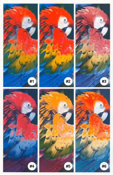 FREE Scarlet, Sunflower, Blue Color Profile | Risolve Studio